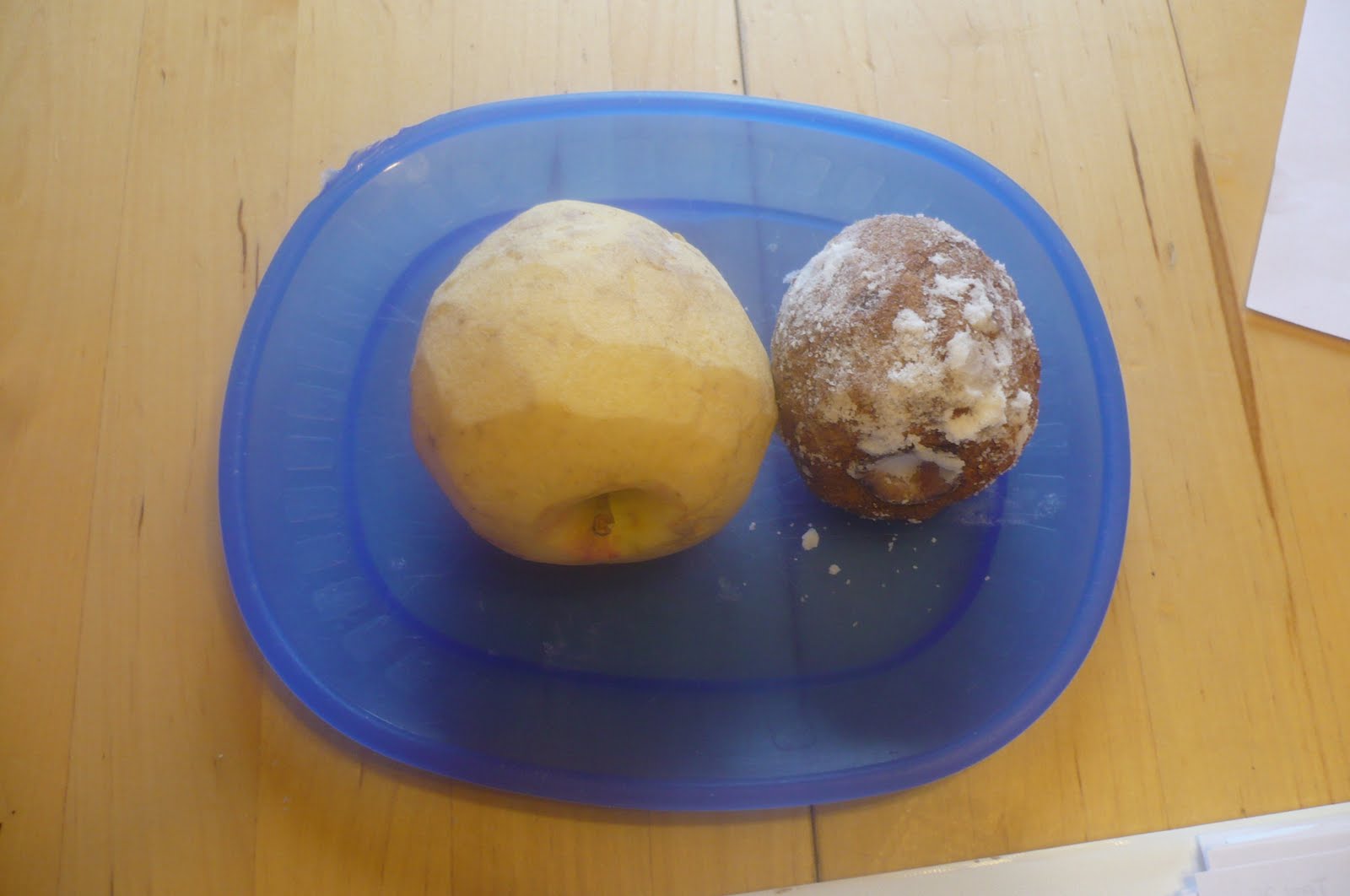 The Kibbies: Mummification