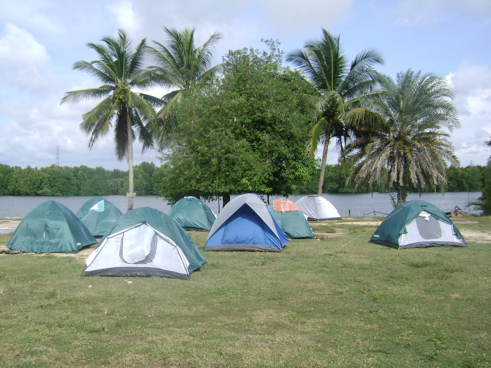 KPSDK KG BELAU: PROGRAM PERKHEMAHAN DAN PENANAMAN BAKAU SEKOLAH ...