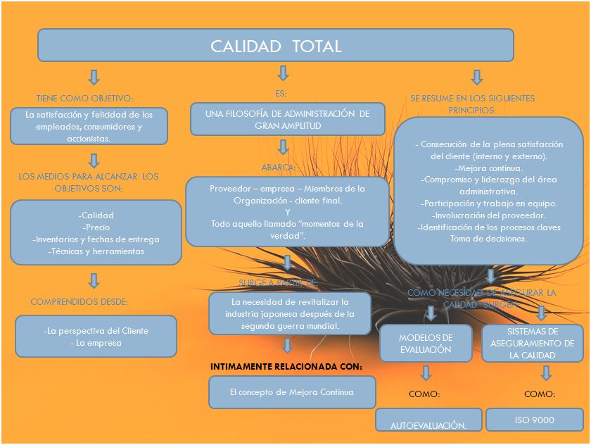 ADMINISTRACION DE EMPRESAS: Calidad Total.