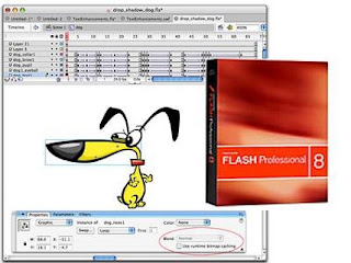 Adobe Flash CS3 Professional: ADOBE FLASH CS3 PROFESSIONAL