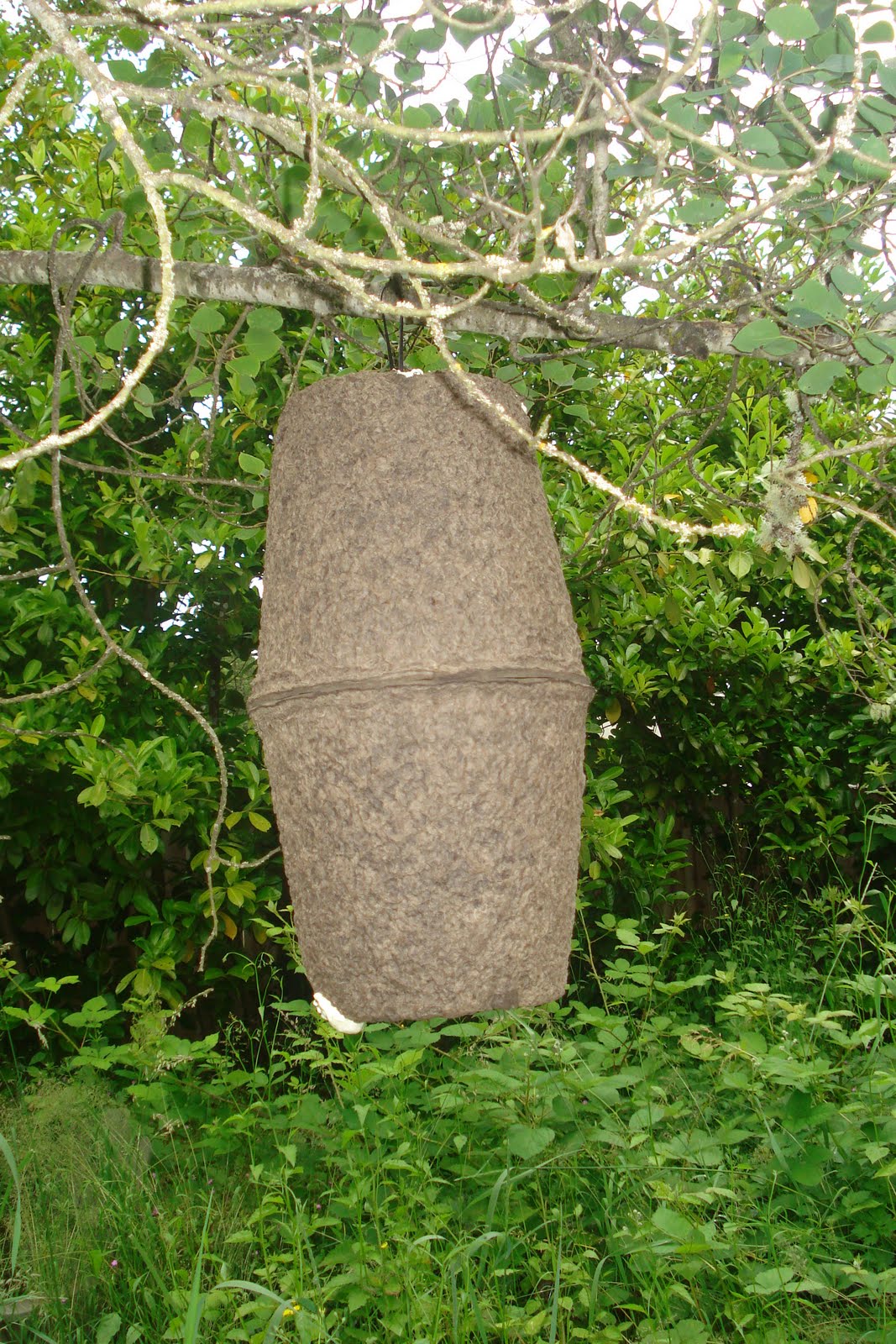 A Whole 'Nother Bee Blog: Swarm Trap / Bait Hive