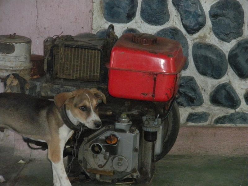 Relampagos Farm: The Kuliglig Power