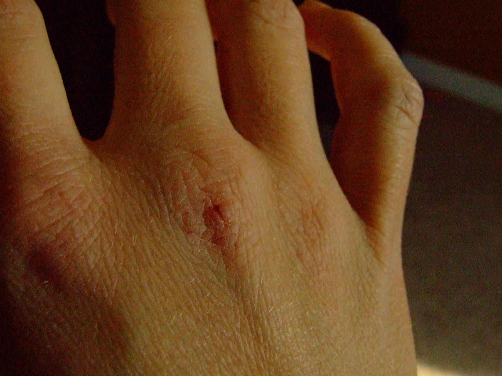 Kar's Kith and Kin: Soooooooo dry.