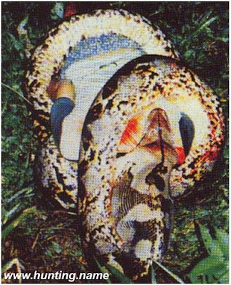 Paranormal And Strange World: Snakes eats a Man alive