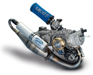 Giorgio: MOTORE POLINI "EVOLUTION"