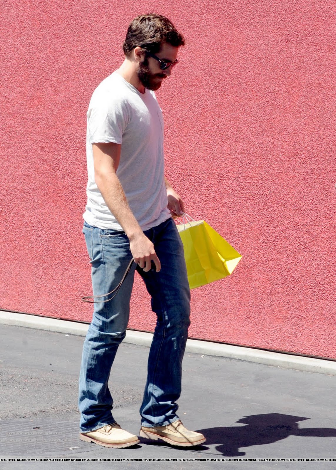 Oh My Godot: The Great Goose Detective