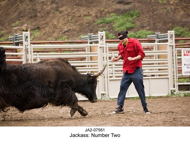 MULTIPLE: Funny Stunts