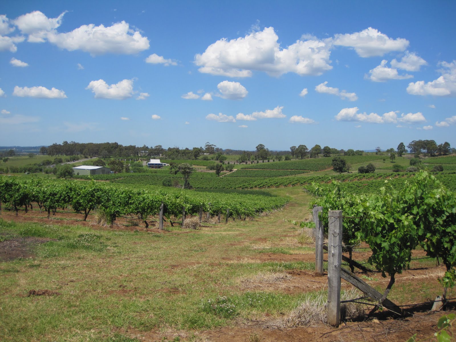 Jan en Corry in Australië: National parks rond Jilliby en Hunter valley