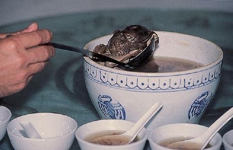 Shocking News: Fetus Soup Being Served in China! | Citizen of the Earth
