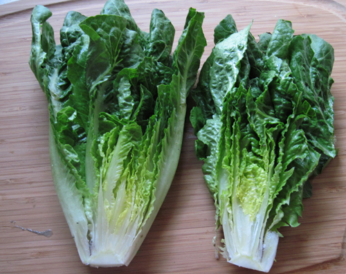 watercat: Herb-Crusted Roasted Lettuce (Or, A Lettuce Recipe that Isn't ...