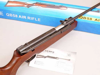 Archer on Airguns: A Quick Performance Test of the New QB58 Air Rifle