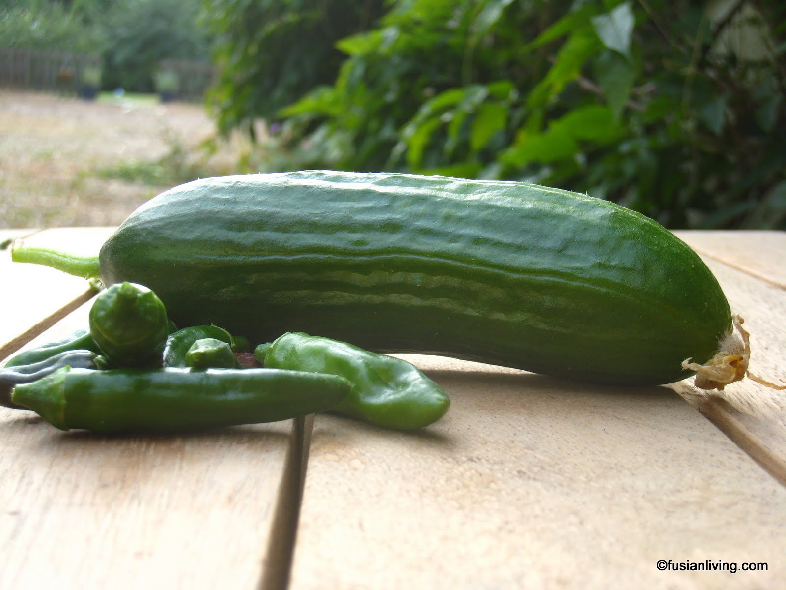 Grow Cucumbers You're Going to Love Eating! | Grow Your Own Veg Blog ...