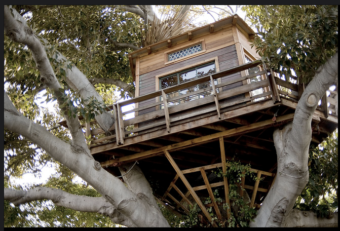 Alex Grant: Treehouse: The Ultimate Secret Fort