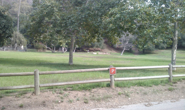 Wandering In LA: Franklin Canyon, Part I: You'd never know you were in L.A.