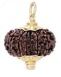 Advertorial: GENITRI/JENITRI(Elaeocarpus sphaericus Schum)