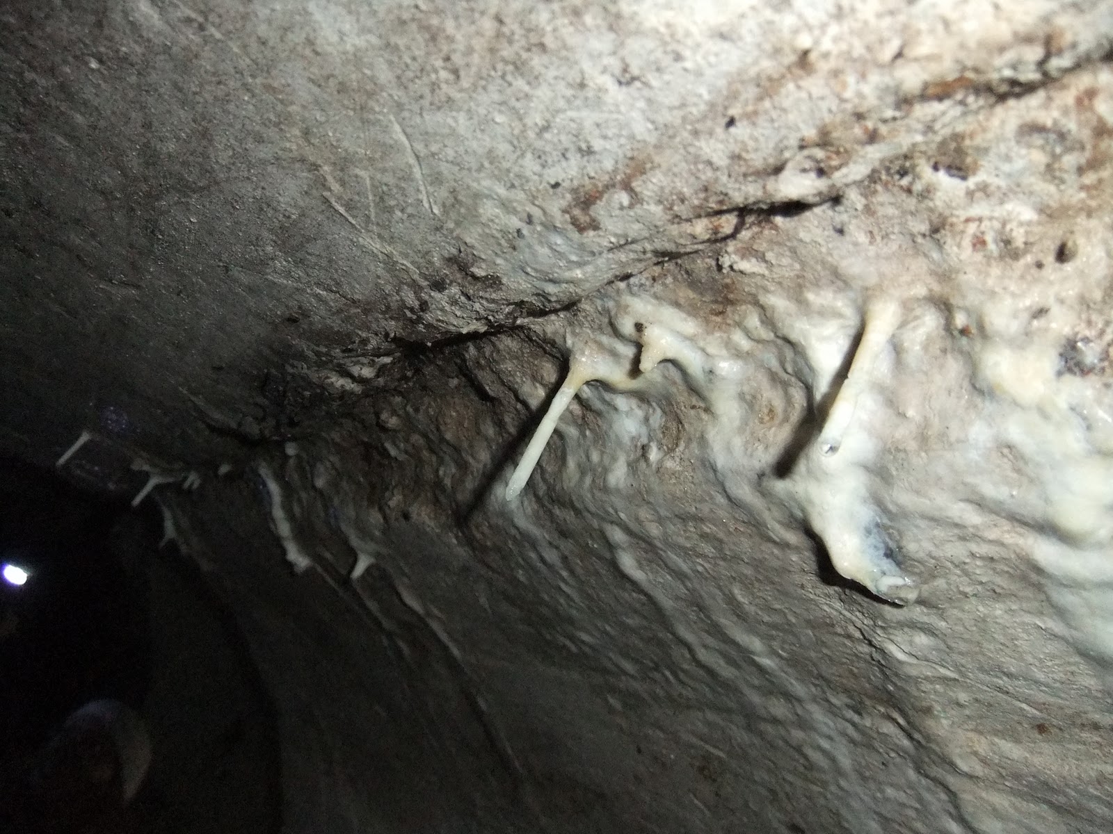 romaniape2roti: Plimbare de duminica la Fortul 1 Chitila si Manastirea ...