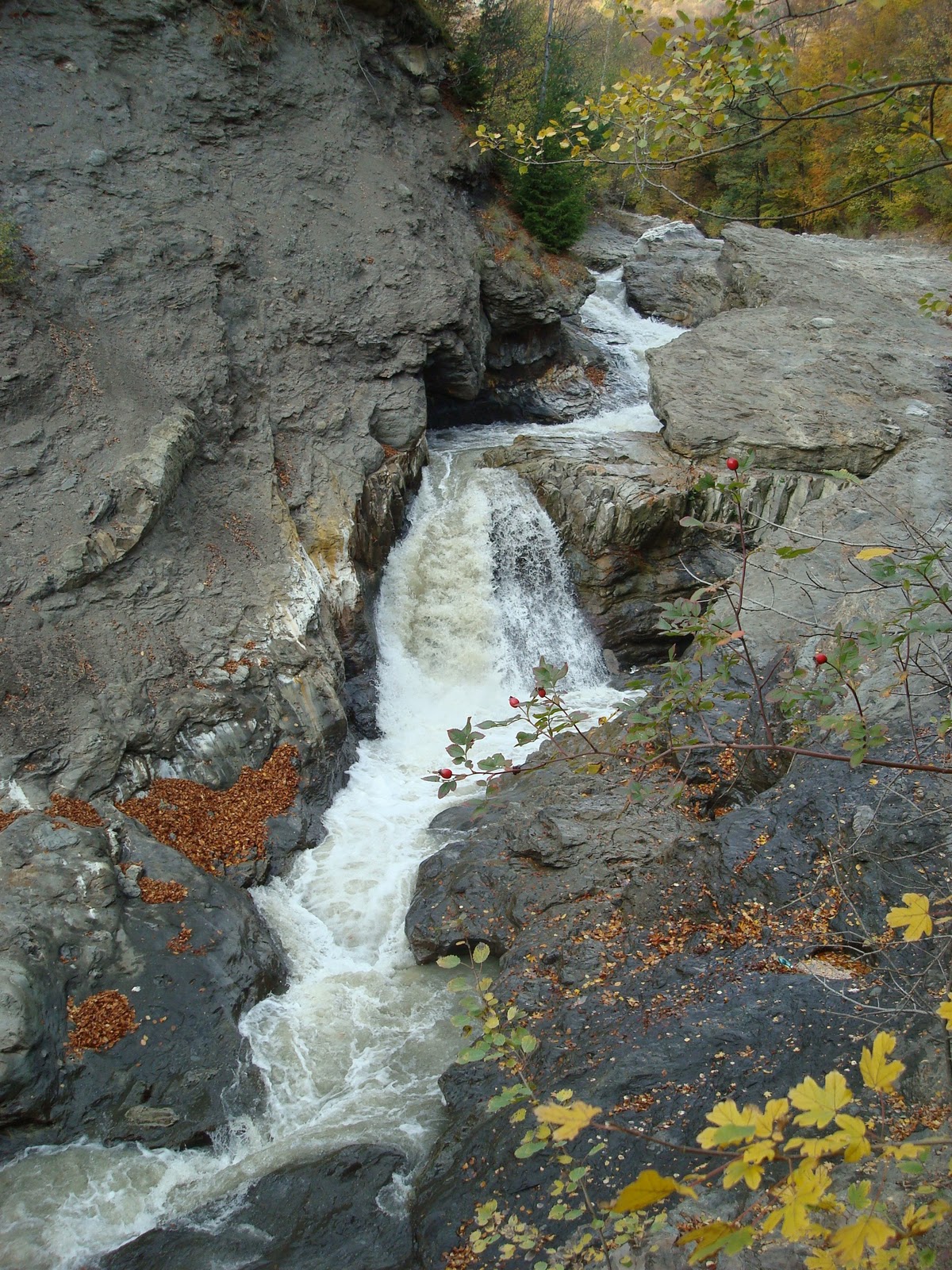 Locuri de vizitat in Romania: Parcul Natural Putna Vrancea