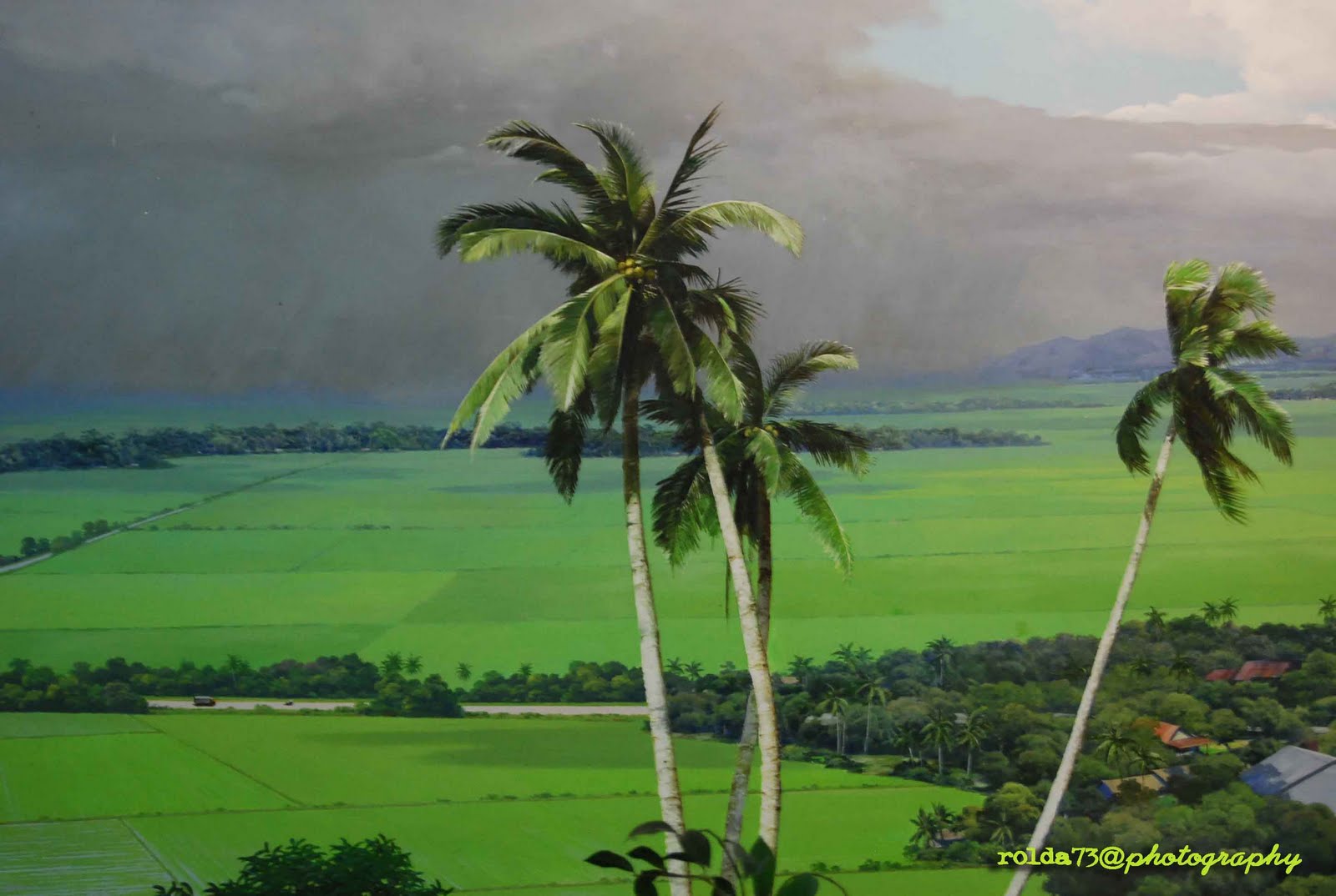 .: keindahan visual sawah padi di kedah