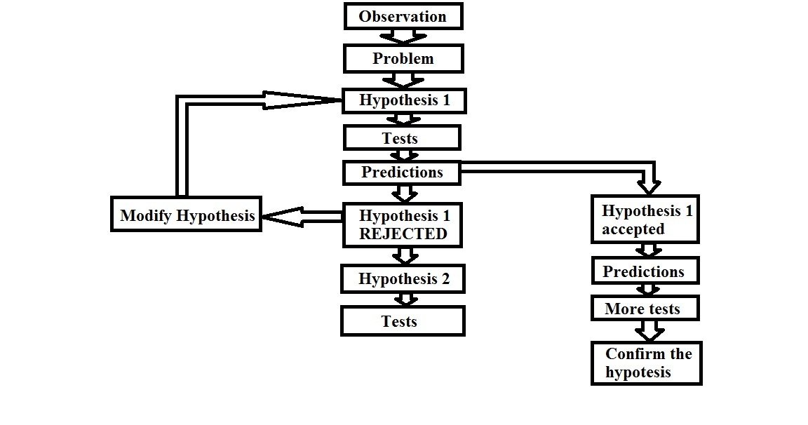 The Team AVATAR: Biology