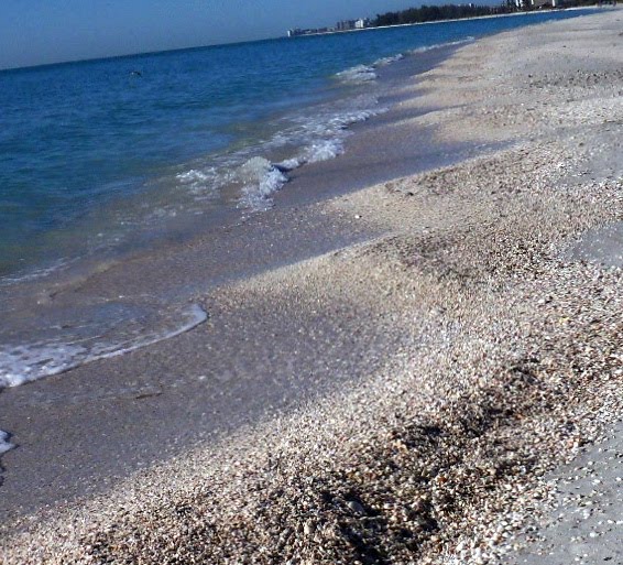 Southwest Florida Shoreline Studies: Trigonometry