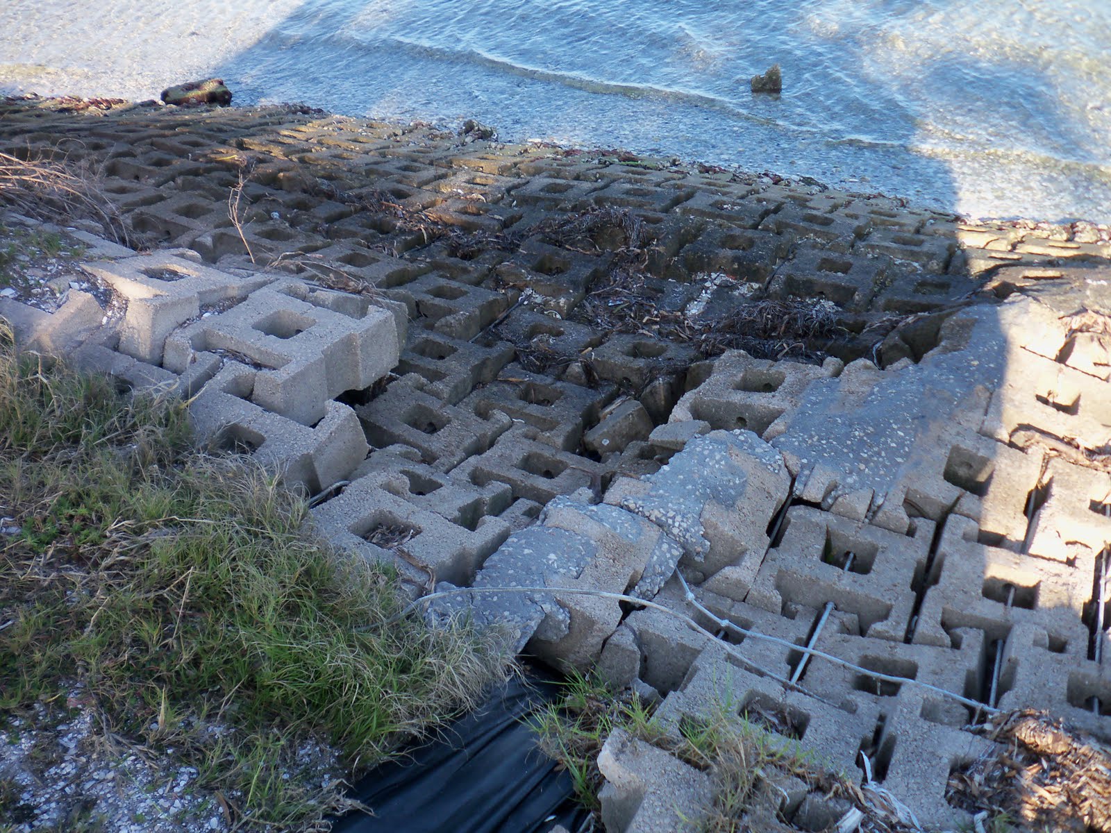 Southwest Florida Shoreline Studies: Bird Key Park: Looking Good...