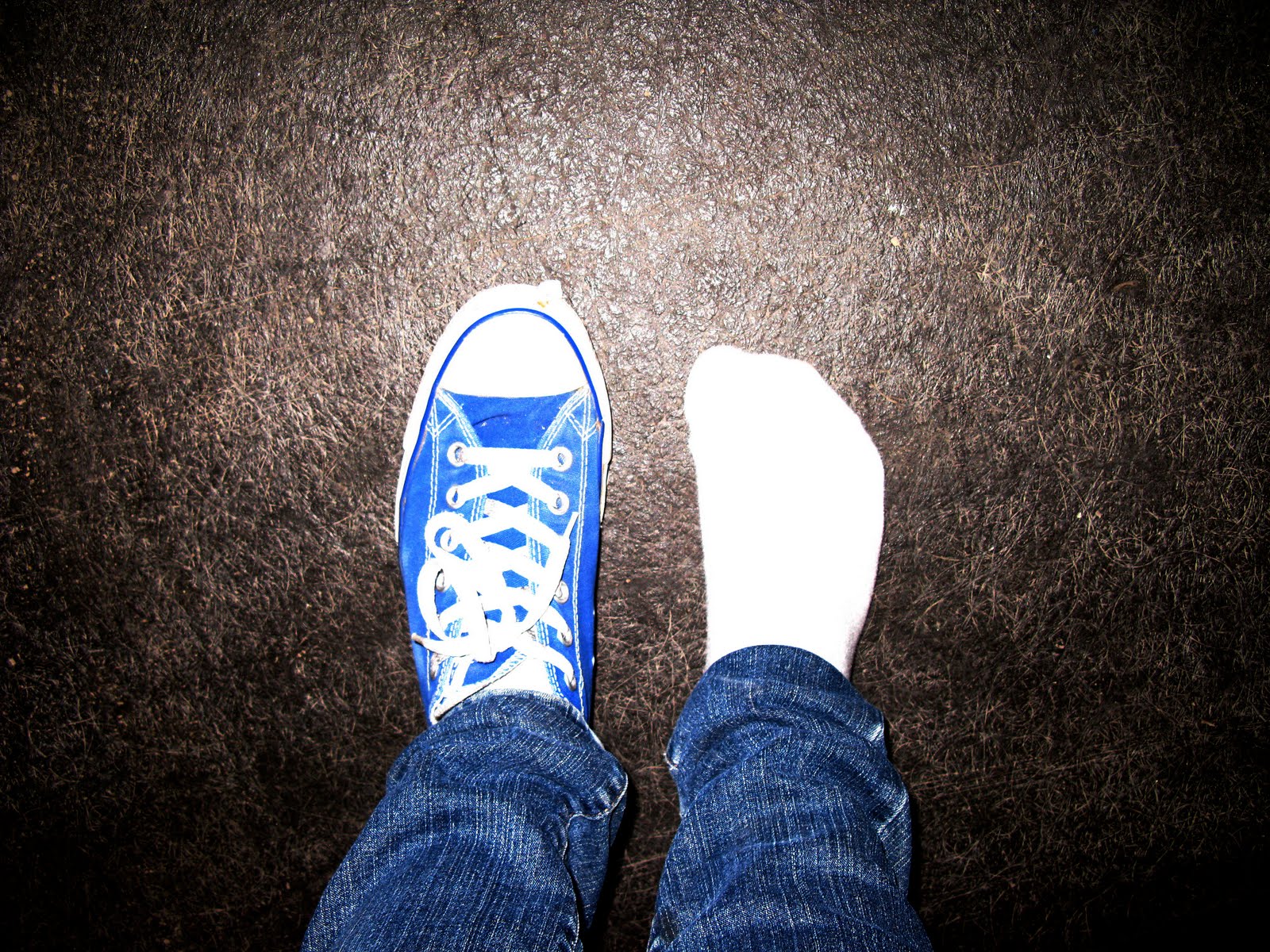 Lauren O'Brien - life & photography