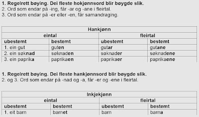 Alex Norsk: Nynorsk substantiv