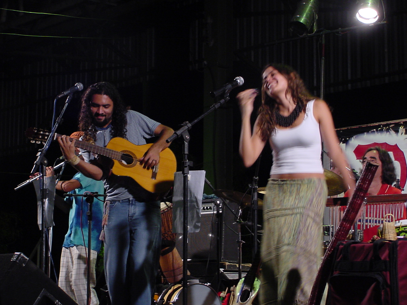 Lara César - Música brasileira: Uma história musical