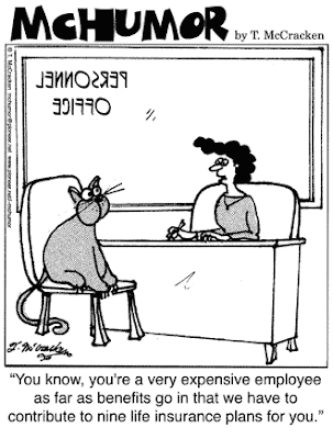 Curious?: Redundancy: The Pros and Cons...