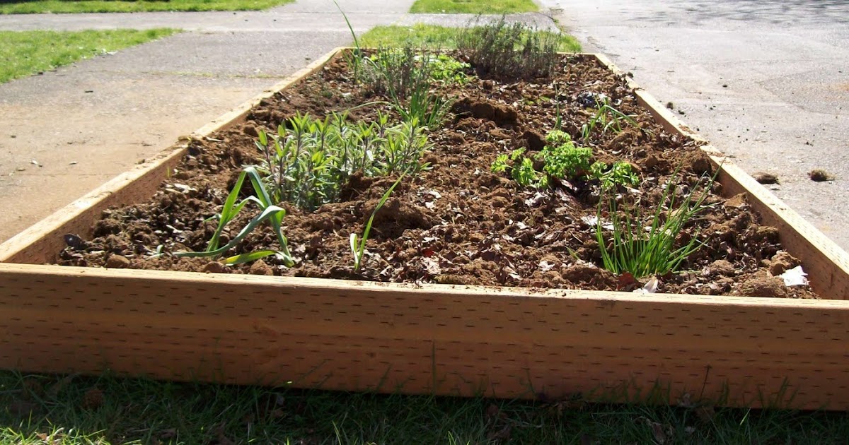 Herbage! | End Of Ordinary