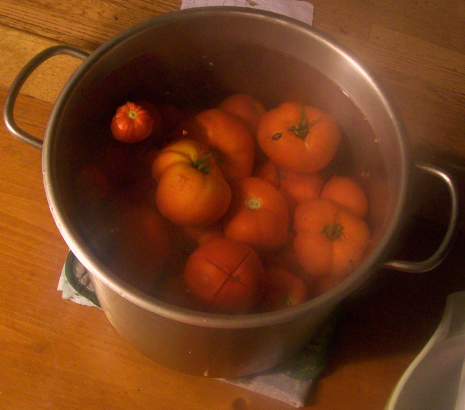 Canning Stewed Tomatoes | End Of Ordinary