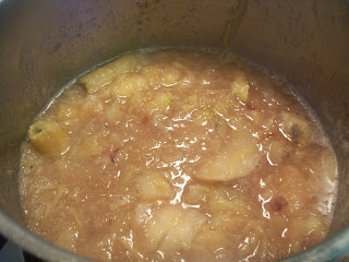 Making Pectin from Apples | End Of Ordinary