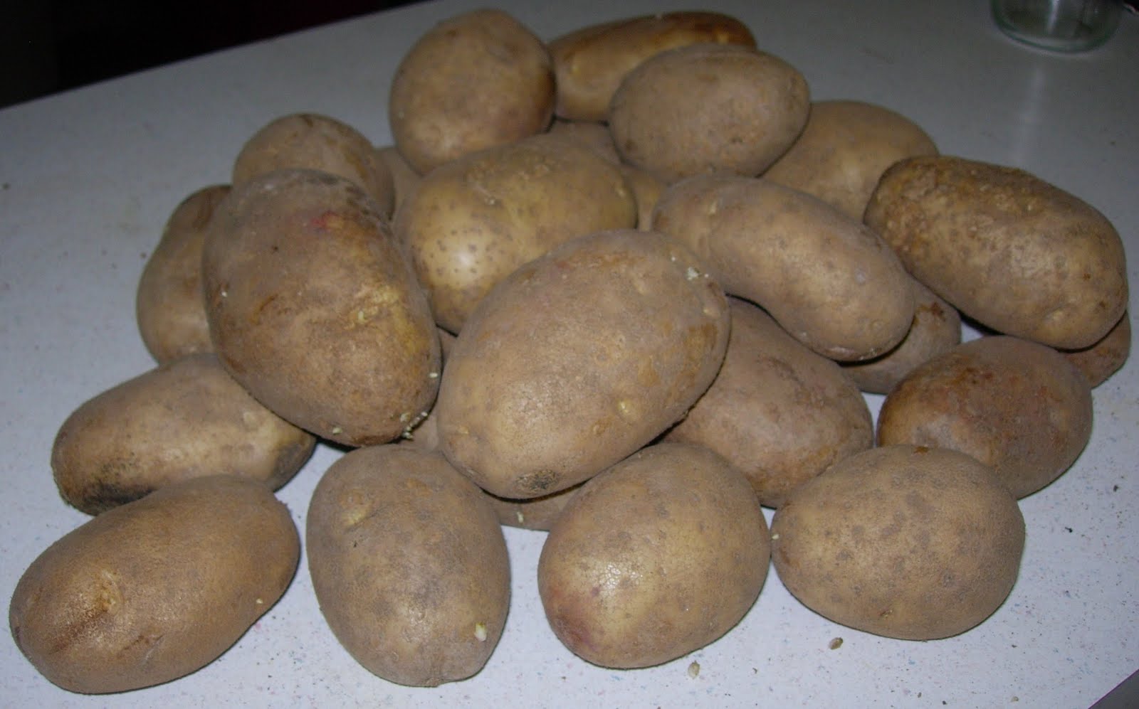 How to Dehydrate Potatoes | End Of Ordinary