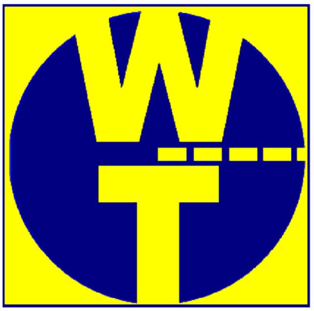 WT - meddic