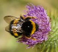 Formacion humana de un profesional: TIPOLOGIAS