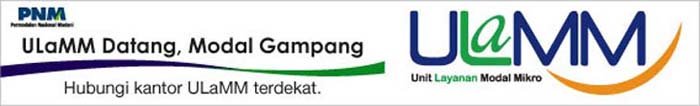 ULaMM (Unit Layanan Modal Mikro)