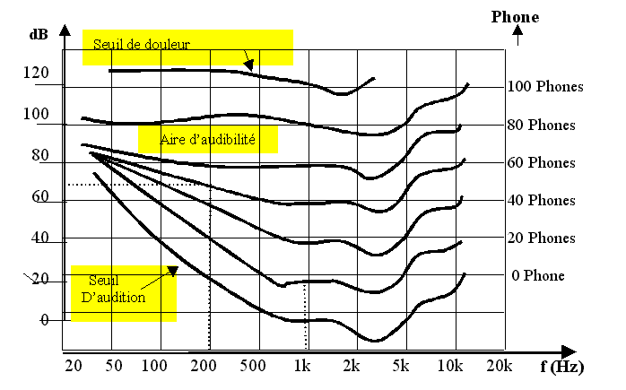 L'Homme et le Son: Organisation de l'oreille
