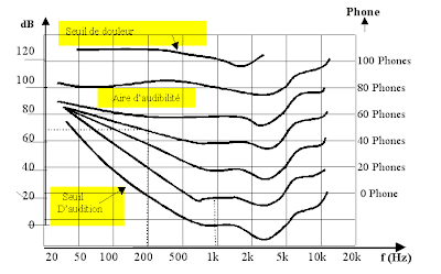 L'Homme et le Son: Organisation de l'oreille