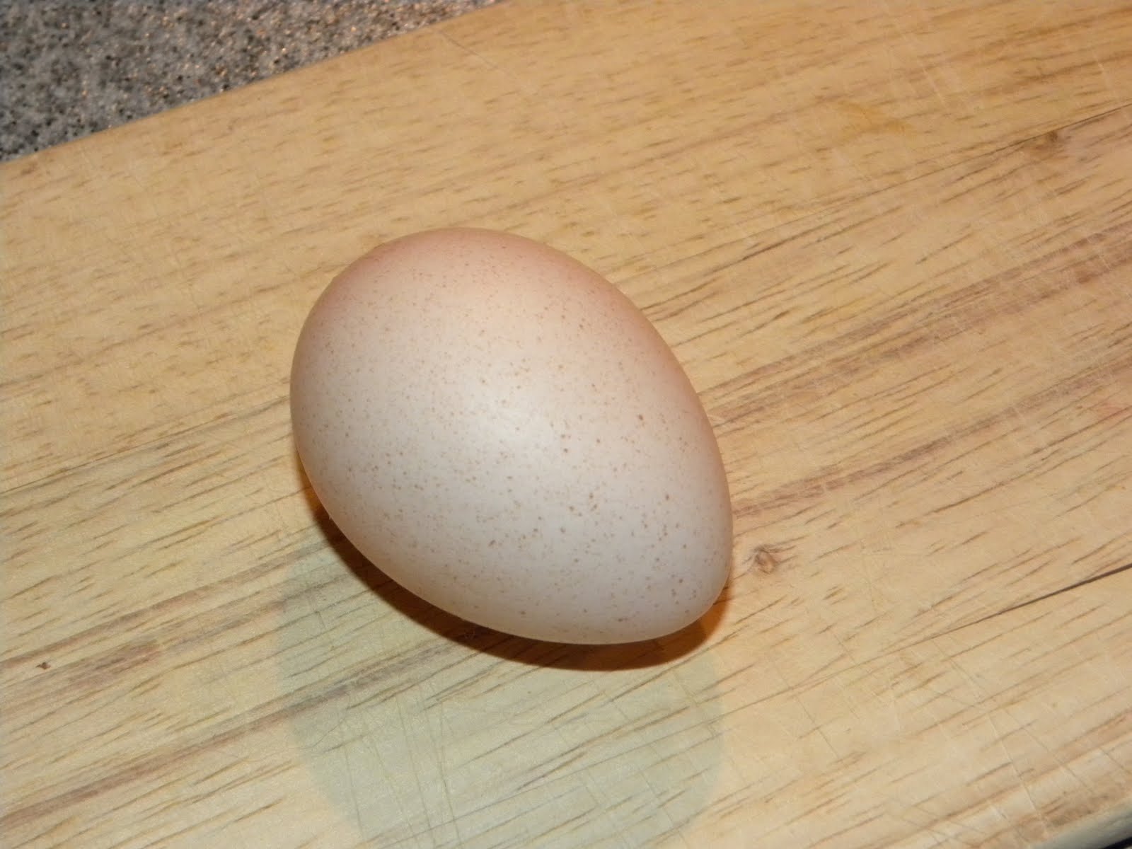 Karppaus ja perhe: Kalkkunan muna?