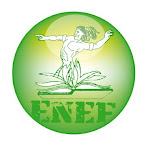 Comunicación en la LEF