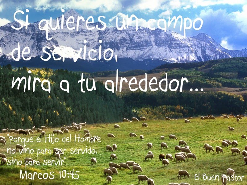 YO SOY EL BUEN PASTOR: Marcos 10:45
