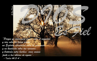 YO SOY EL BUEN PASTOR: Isaías 44:3-4