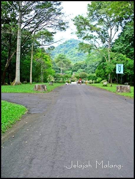 Kebun Raya Purwodadi ~ Petualangan Malang