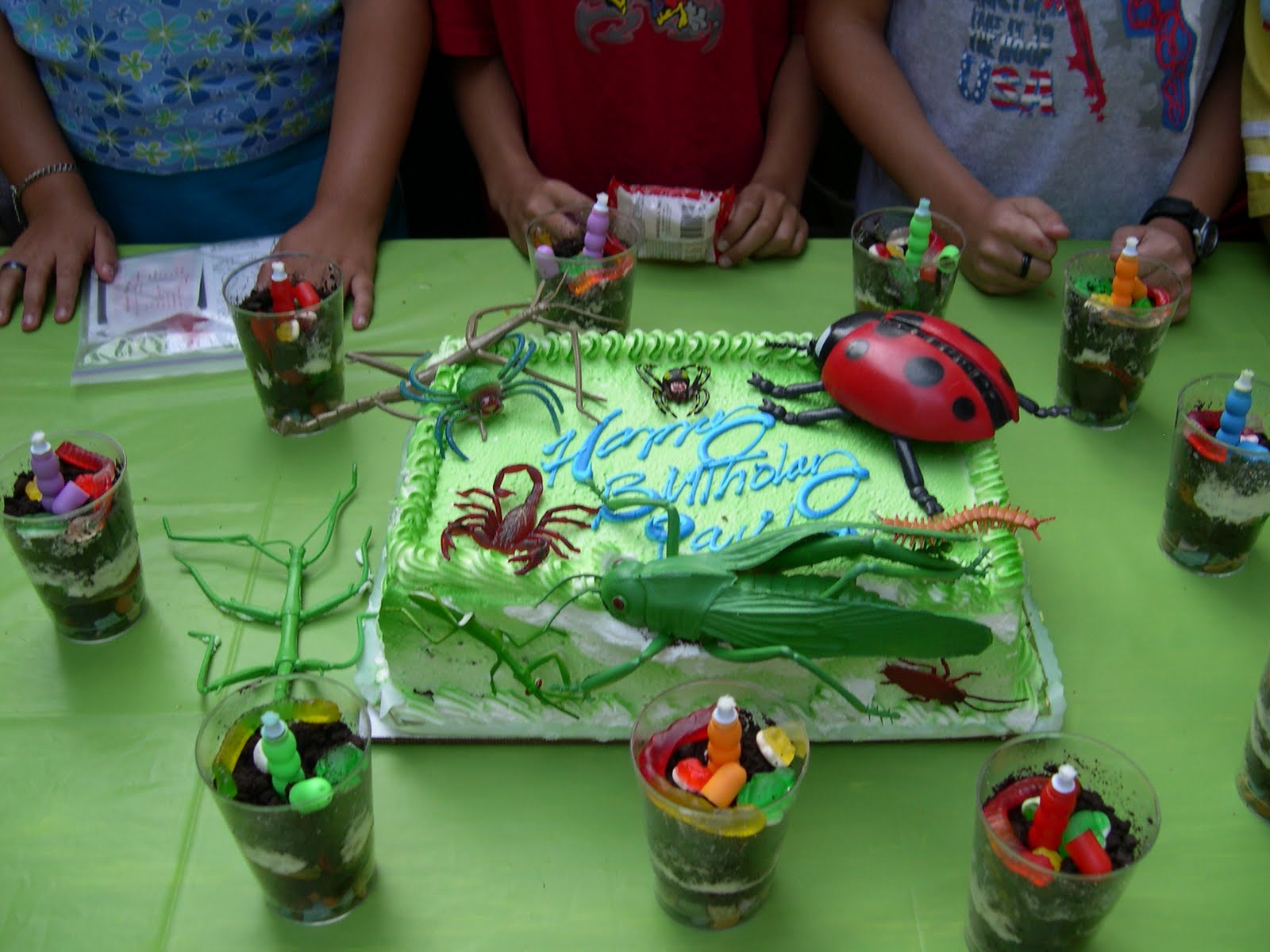 Creatividades Latinas: Fiesta de insectos