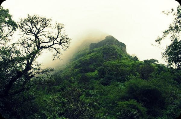 ...basking under my yellow sky...: Destination - Erigabo