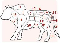 Anatomia do Boi na ponta da faca ~ Comida do Caco