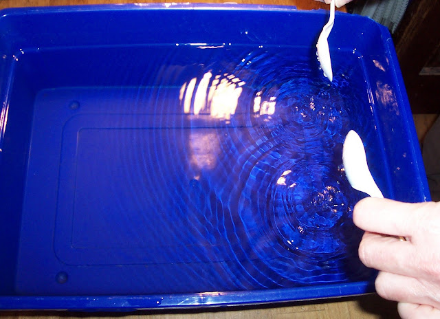 Home Physics: Wave Lab Part 1