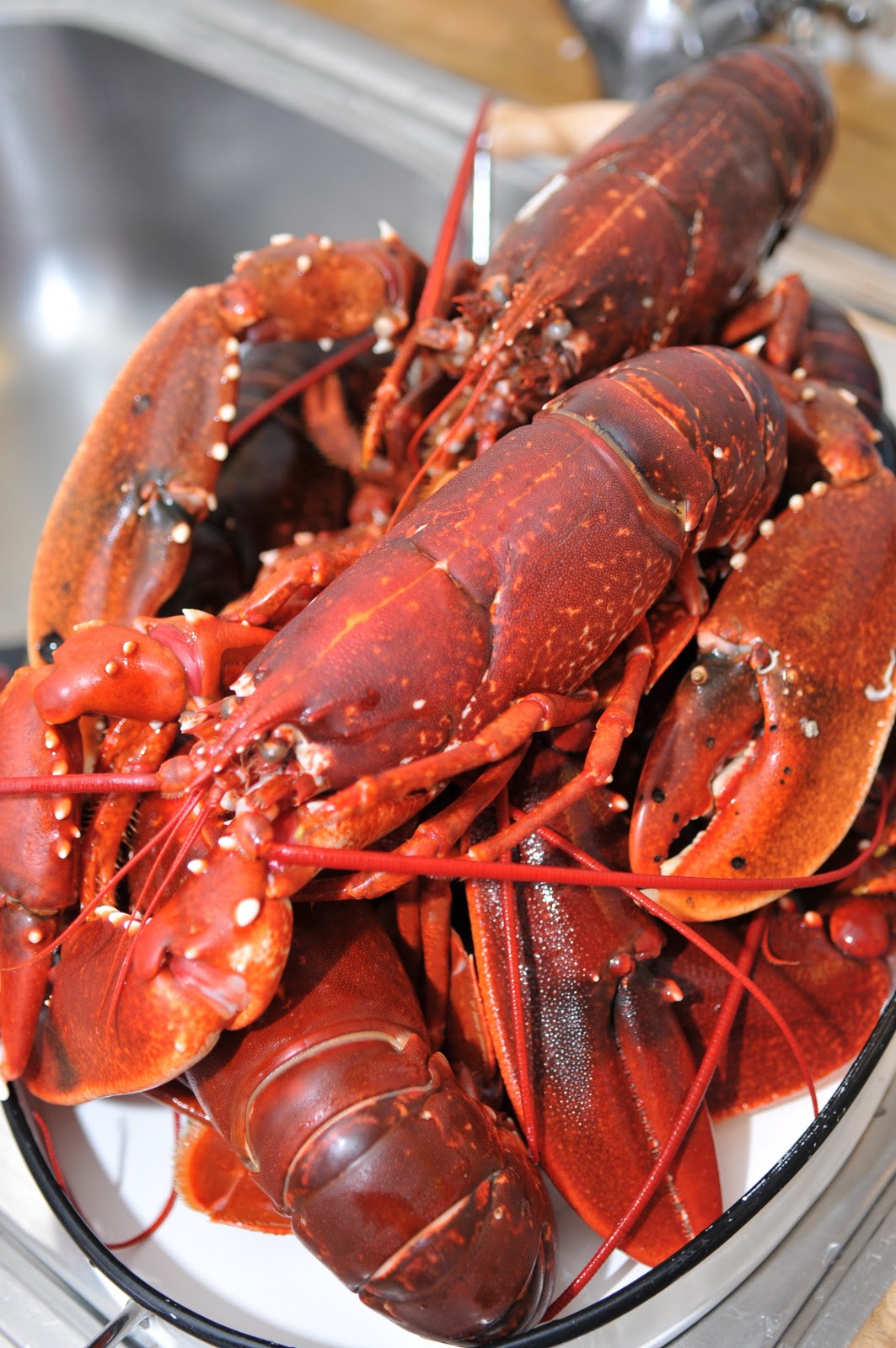 Hummer til Nyttårsaften - Lars spiser - oppskrifter & matglede