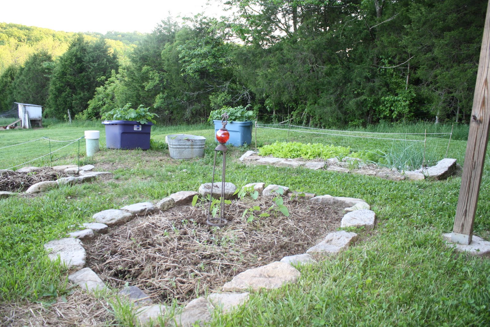 Darian Farms: Lasagna Gardening / Sheet Composting