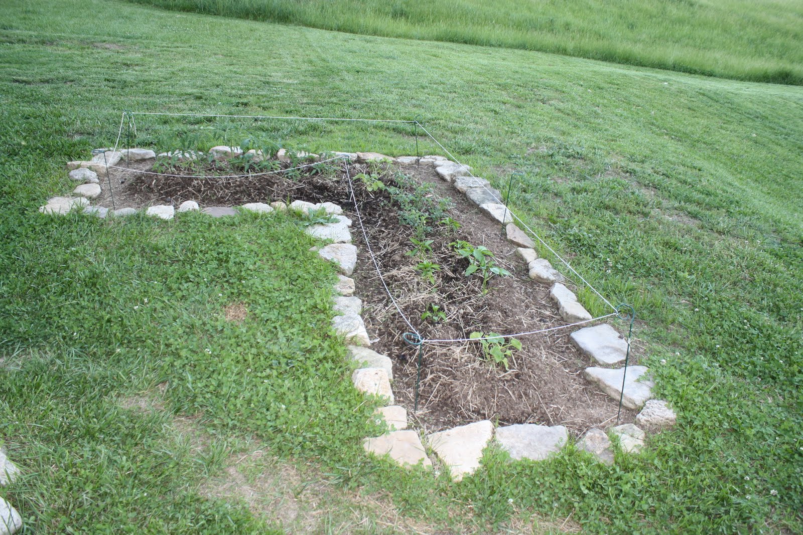 Darian Farms: Lasagna Gardening / Sheet Composting